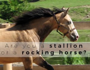 Stallions vs Rocking Horses: 3 Steps to Mastering Proactive ...