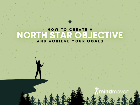 Your Ultimate Guide to Goal Setting [North Star Objectives]